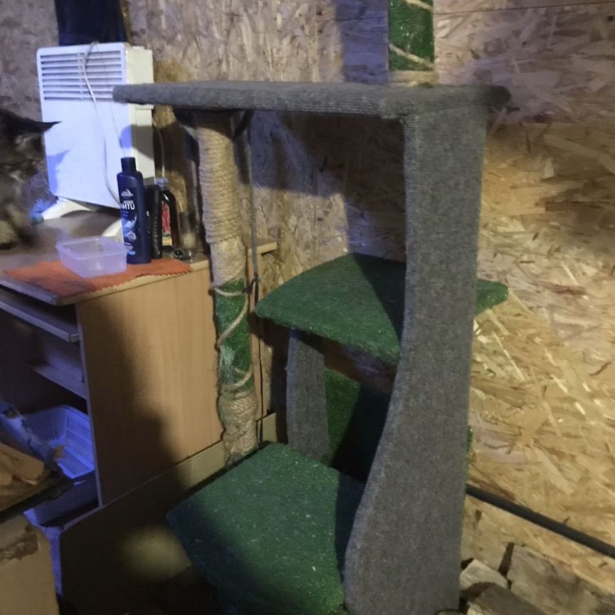 Когтеточка для кошек бесплатно