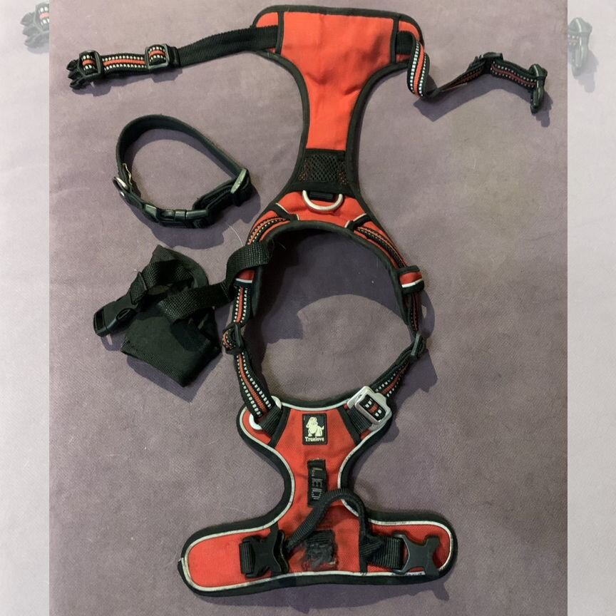 Шлейка для собаки