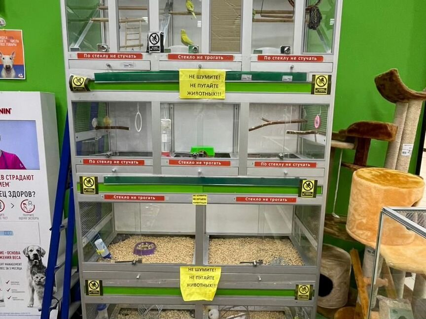 Стойка для животных