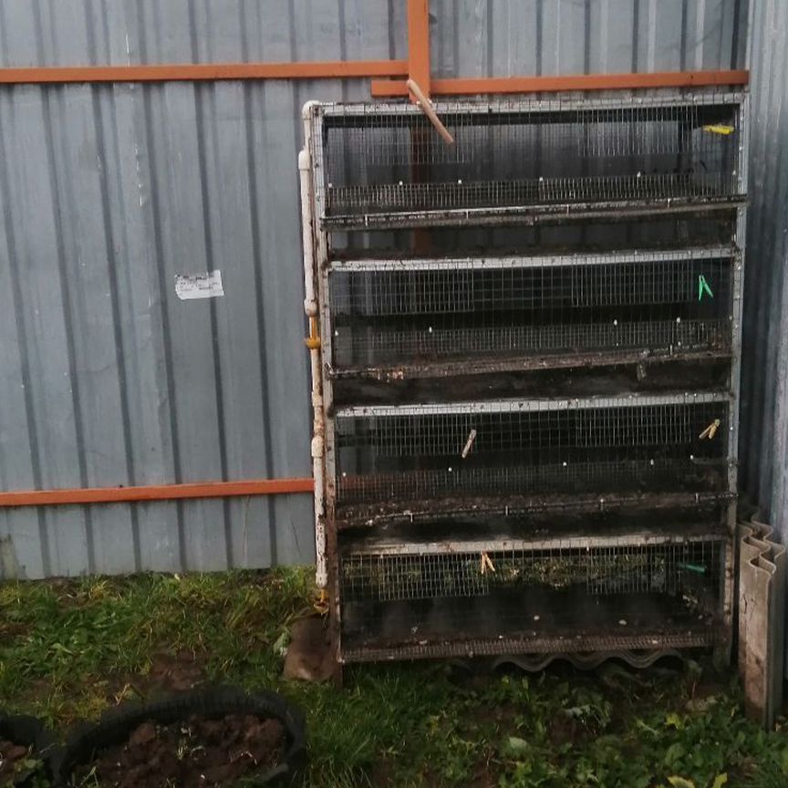 Клетка для перепелов