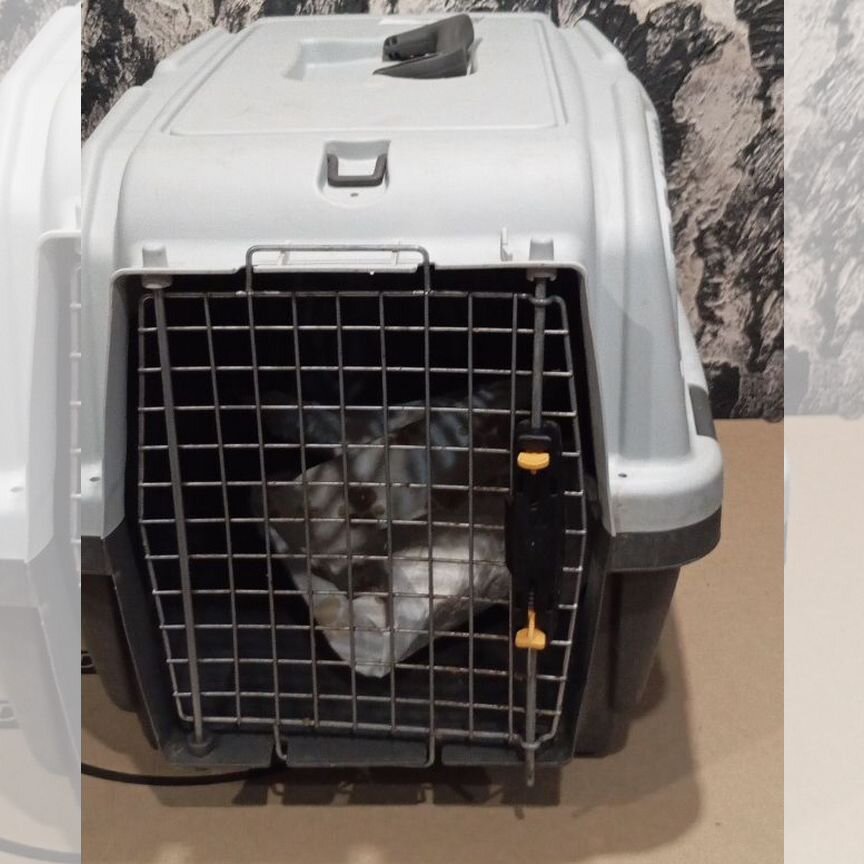 Переноска для животных