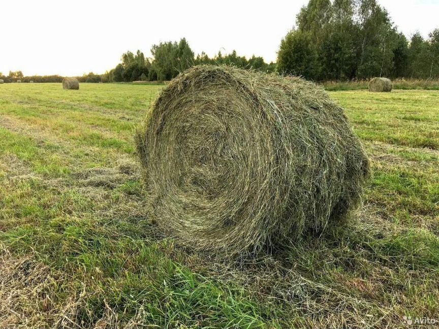 Продам стог сена