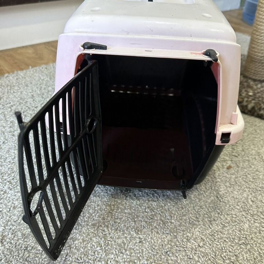 Кошачий набор