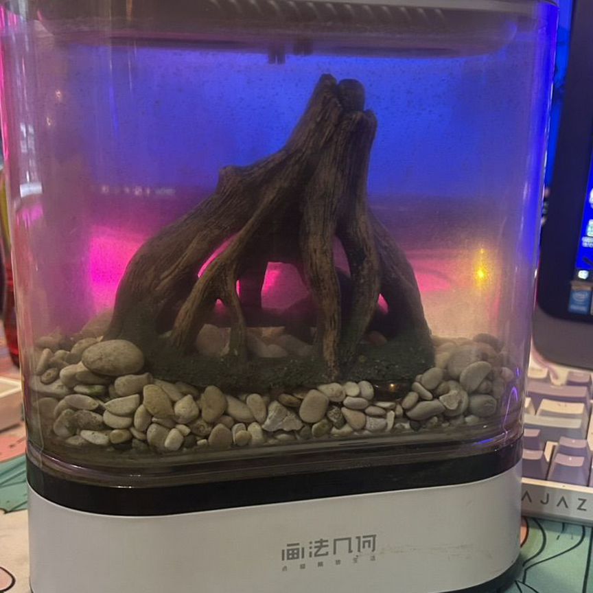 Умный аквариум xiaomi