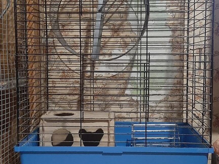 Клетка для грызунов бу