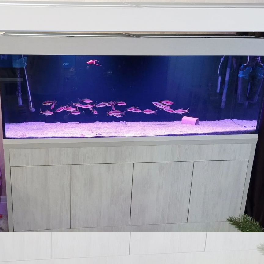 Аквариум с рыбками 560л(с фильтром)   доставка