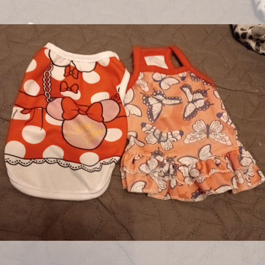 Одежда для маленьких собак xs