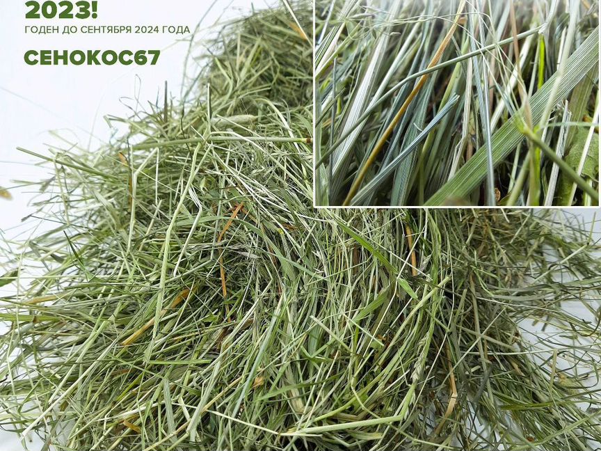 Сено для поделок, грызунов и домашних питомцев