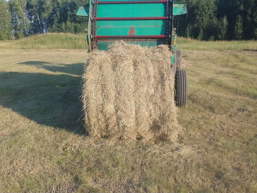 Сено в рулонах 2023