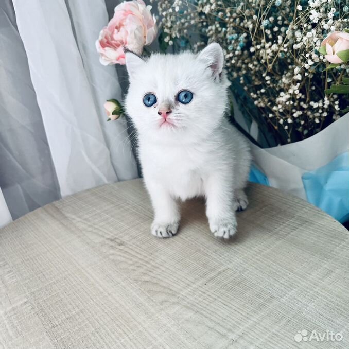 Самая лучшая девочка