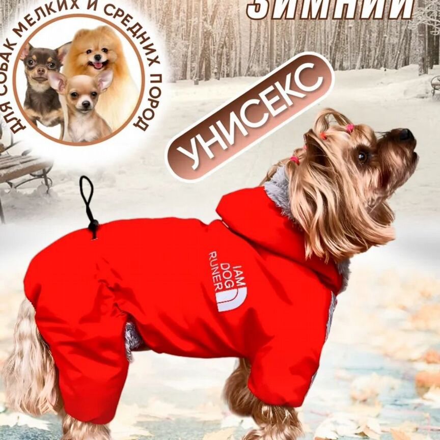 Комбинезон для маленькой собаки