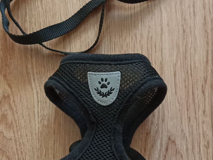 Шлейка для кошки