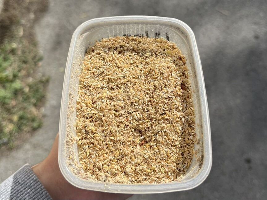 Просяная шелуха