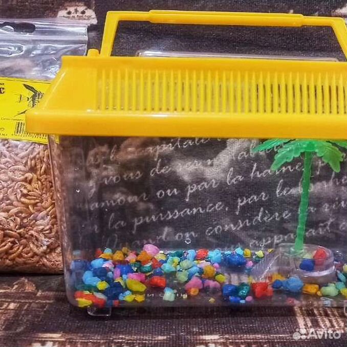 Террариум-переноска/миниаквариум для черепах и рыб