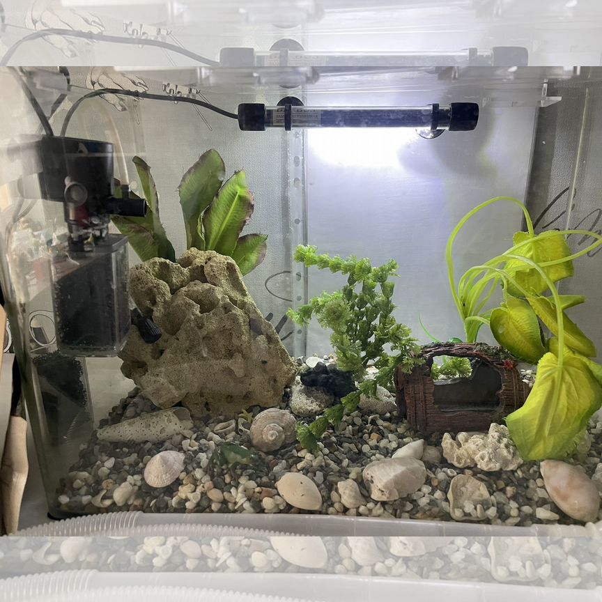 Продам аквариум 25 литров