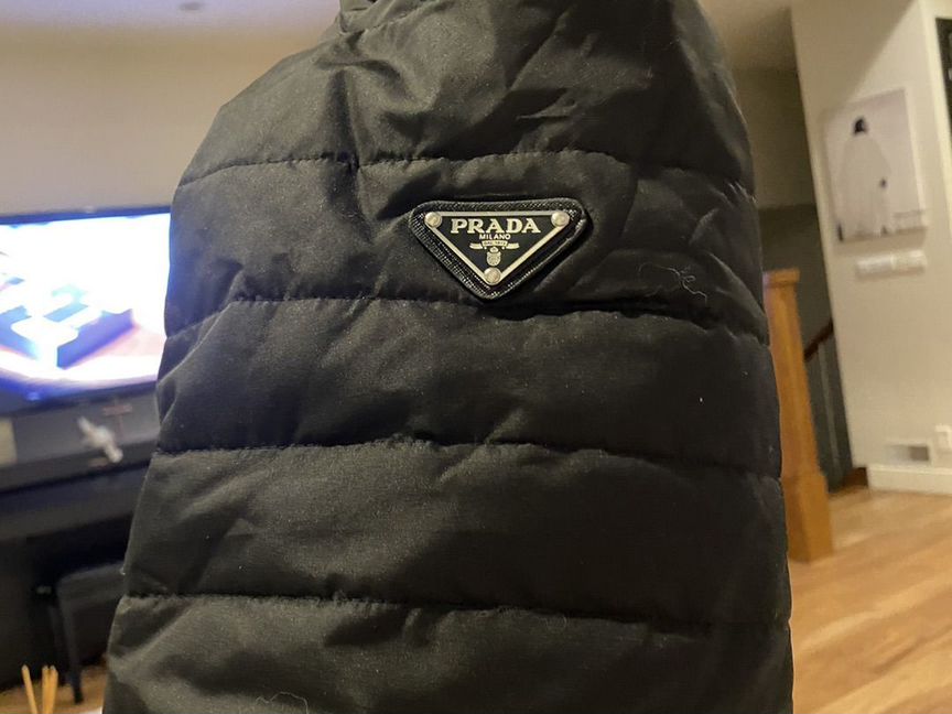 Вещички для маленьких собак