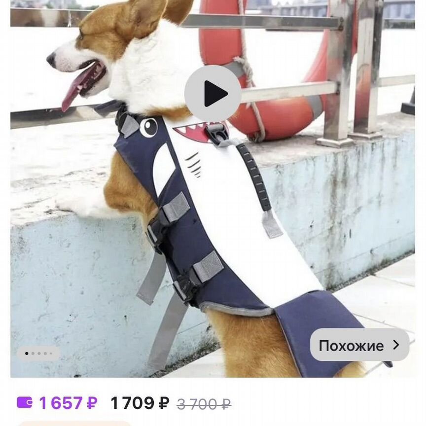 Пояс безопаснгсти и плавания для собаки