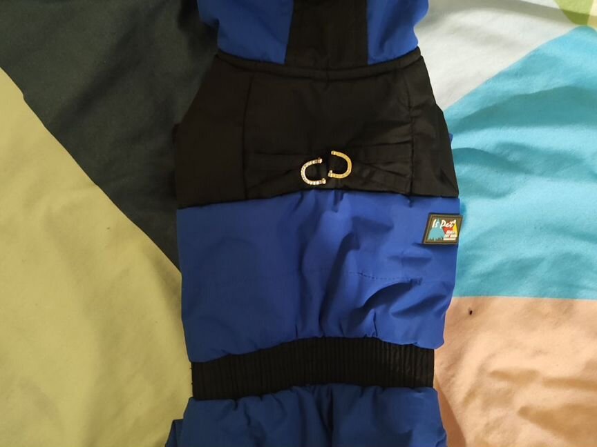 Одежда для собак мелких пород