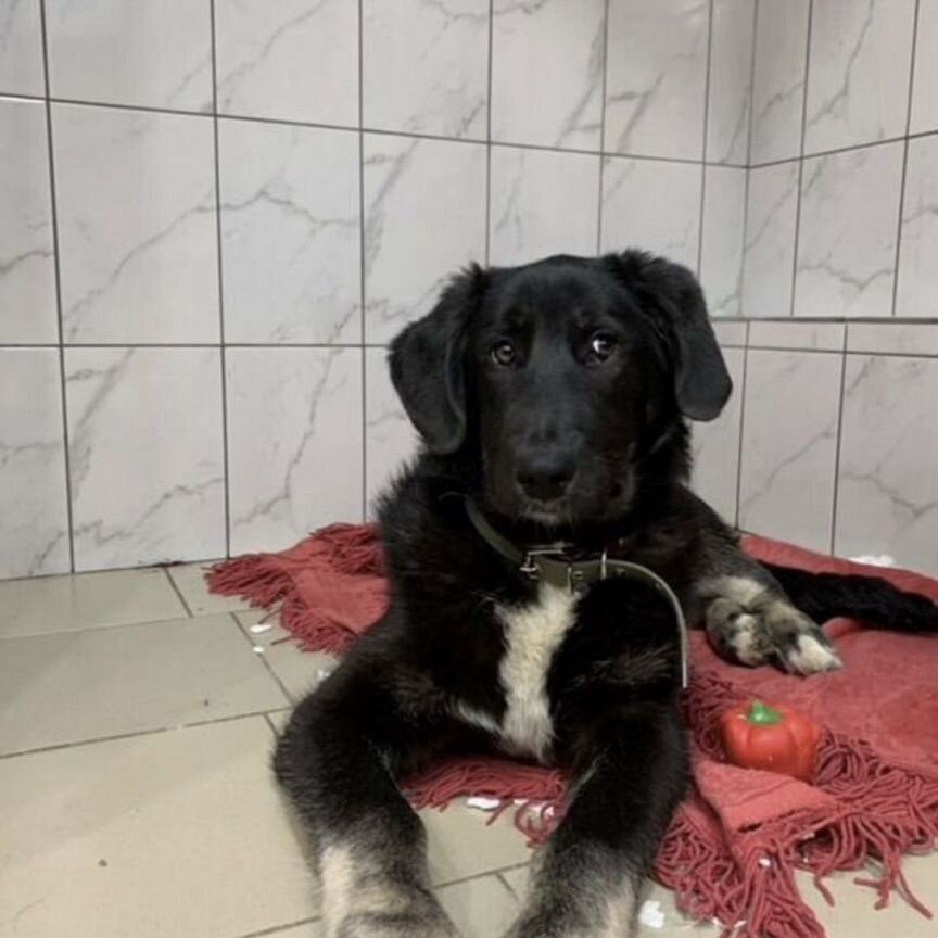 Малыш ищет своих людей