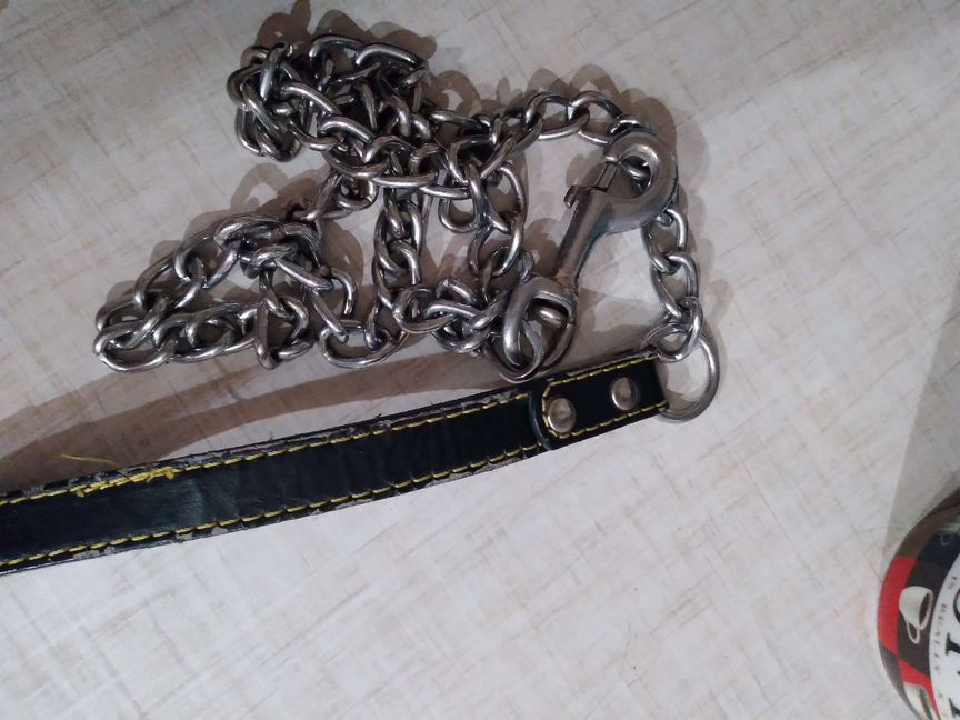 Поводоки для собак