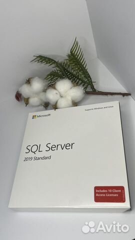 SQL Server 2019 Standart 10 CLT купить в Москве | Электроника | Авито