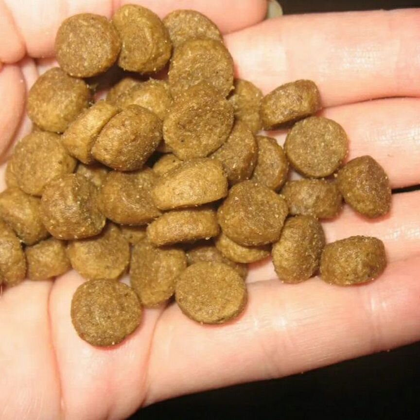 Сухой корм для собак