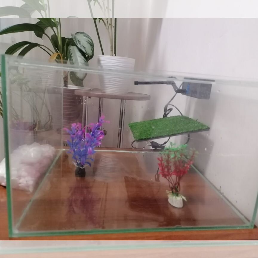 Аквариум фильтр грунт декор.растения ампулярия