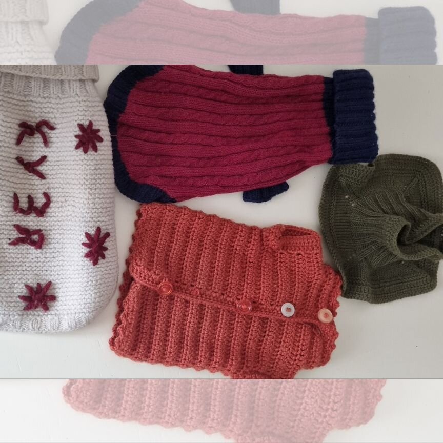 Вещи для йорка