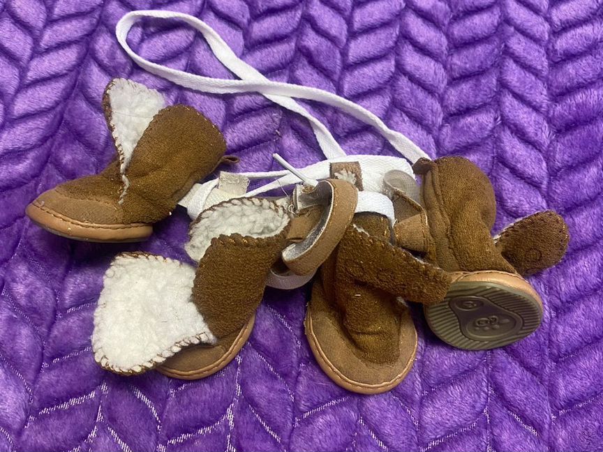 Обувть для собачек