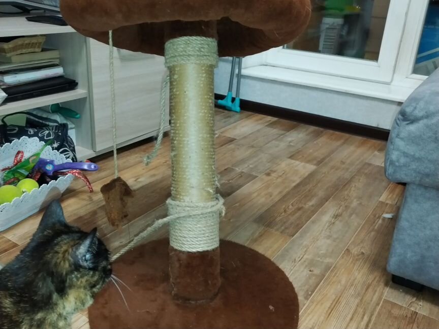 Когтеточка