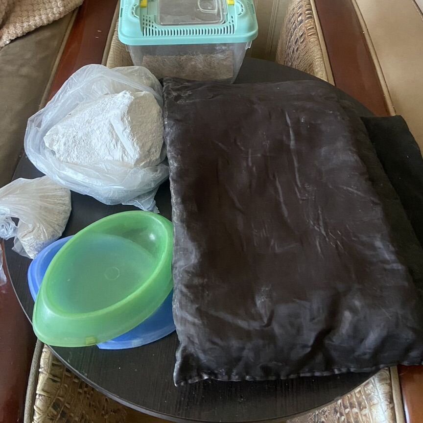 Все для улиток отдам