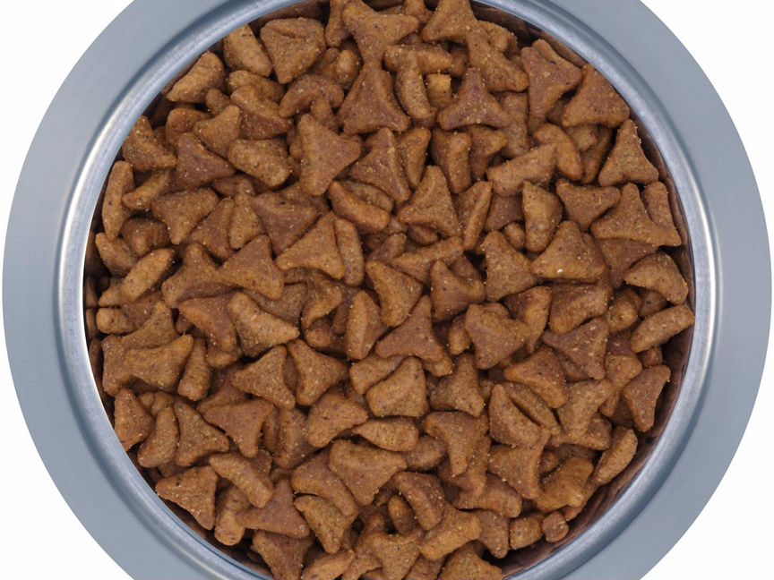 Корм для кошек и собак оптом