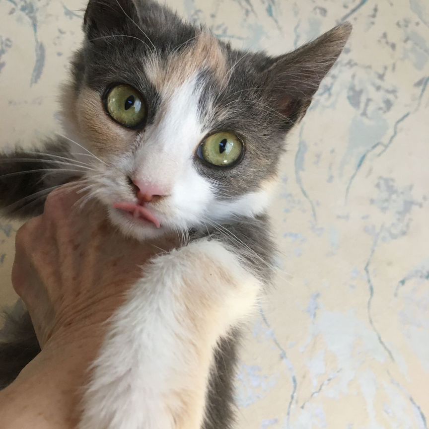 Милаша 3 месяца