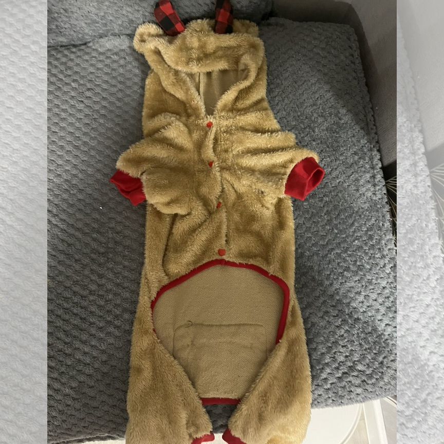 Комбинезон для щенка