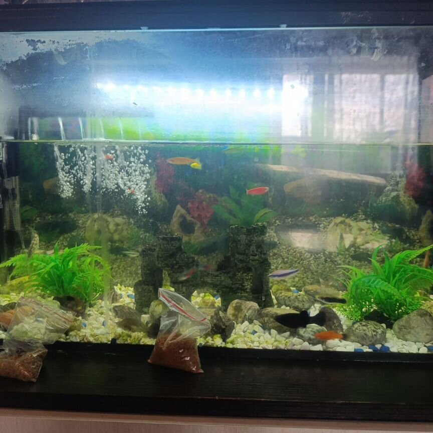 Аквариум