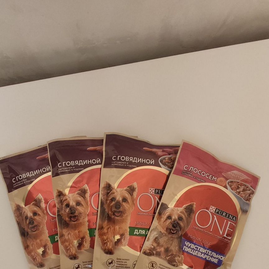 Purina one mini говядина/лосось