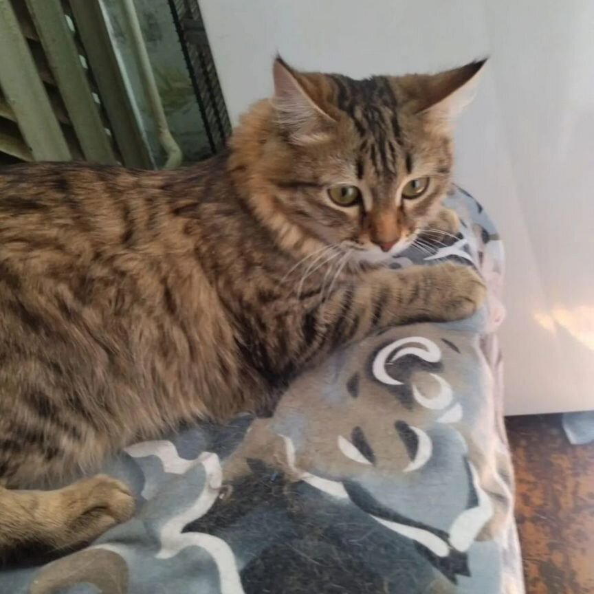 Стасик