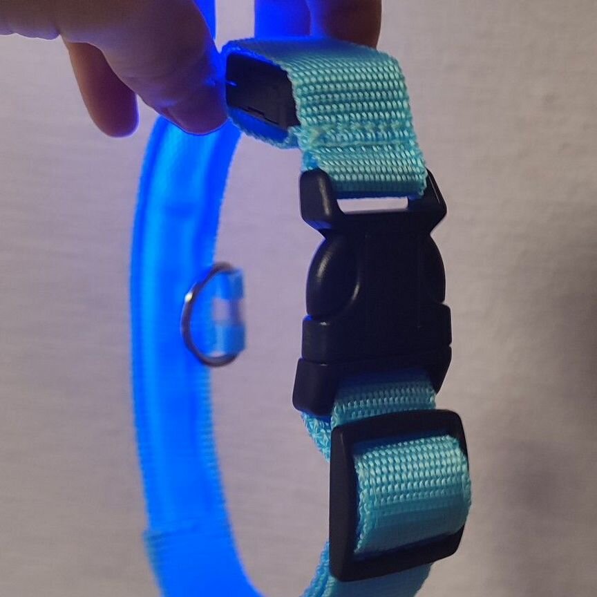 Светящийся ошейник