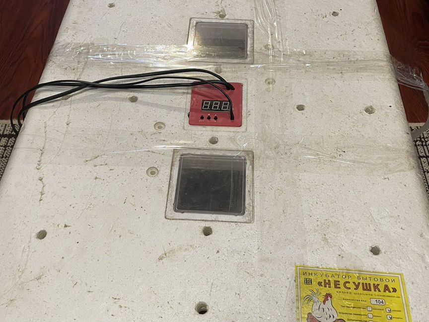 Инкубатор для яиц
