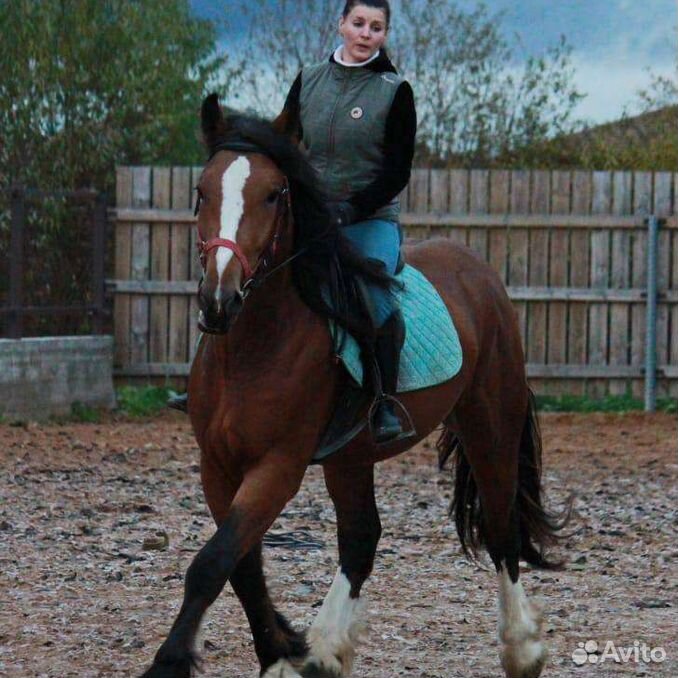 Владимирский тяжеловоз