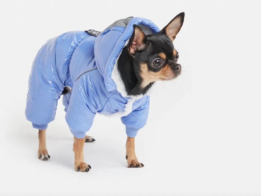 Комбинезон для собак arnydog