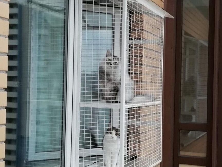 Балкончик для кошек