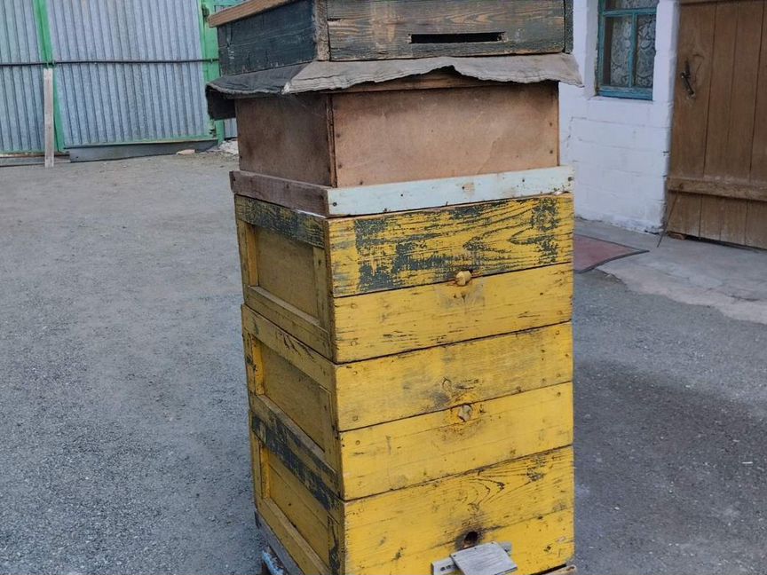 Продам ульи для пчел