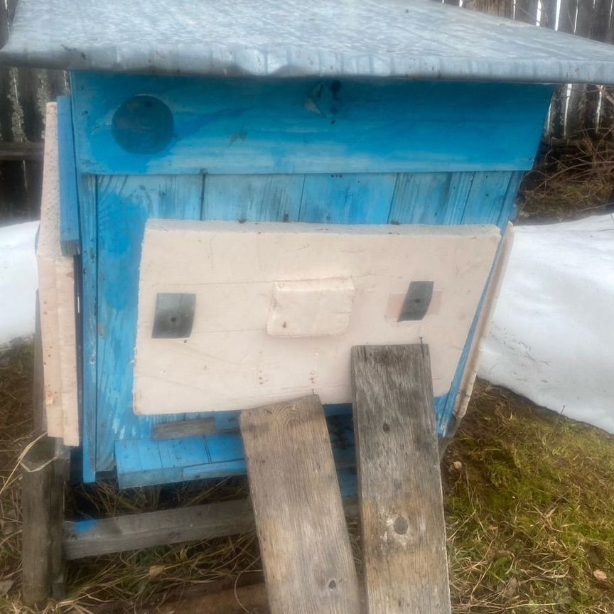 Ульи для пчел с пчелами