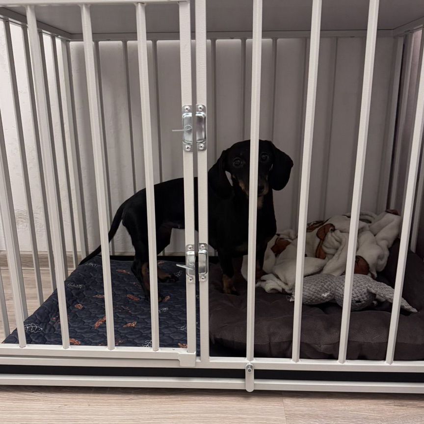 Клетка для собак