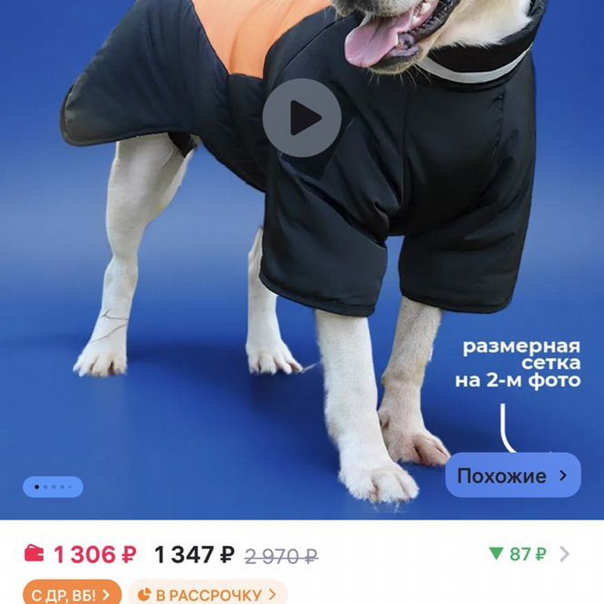 Комбинезон для средней собаки xl