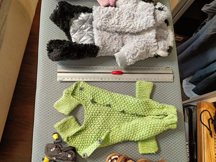 Одежда для щенка или той терьер