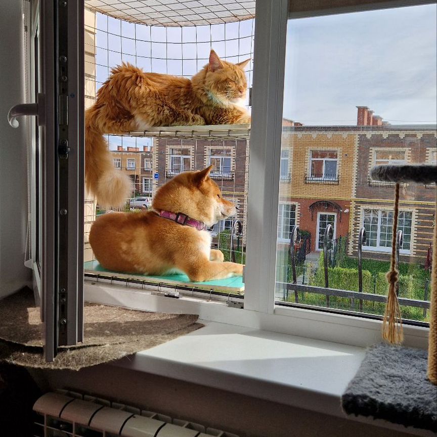 Продам балкончик для кошек