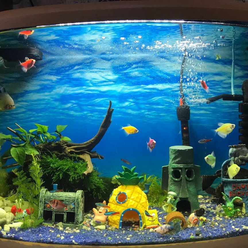 Аквариум 80 литров с аксессуарами и фильтром