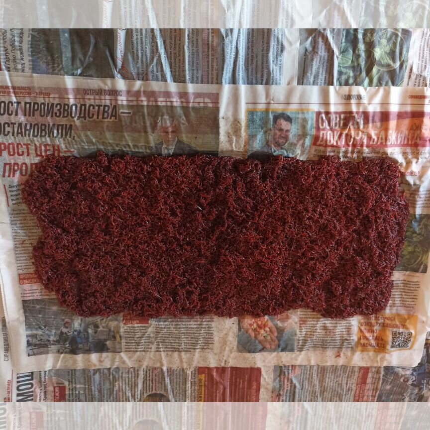 Мотыль кормовой, крупный